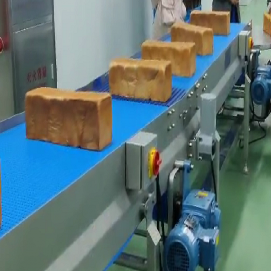 Products are transported in straight line_Conveying system_Baking automation system_Product ...